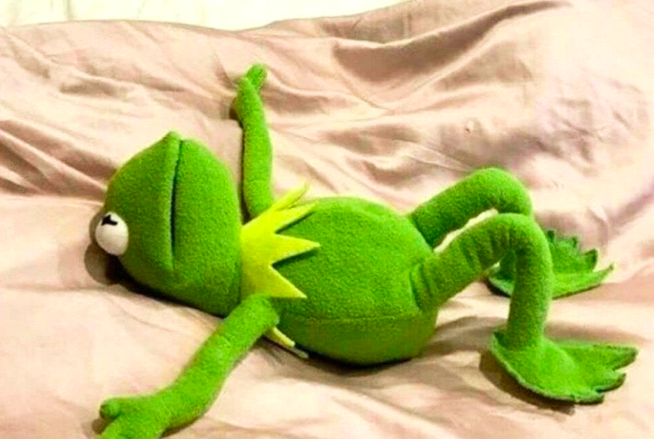 Kermit frog exhausted The Midult